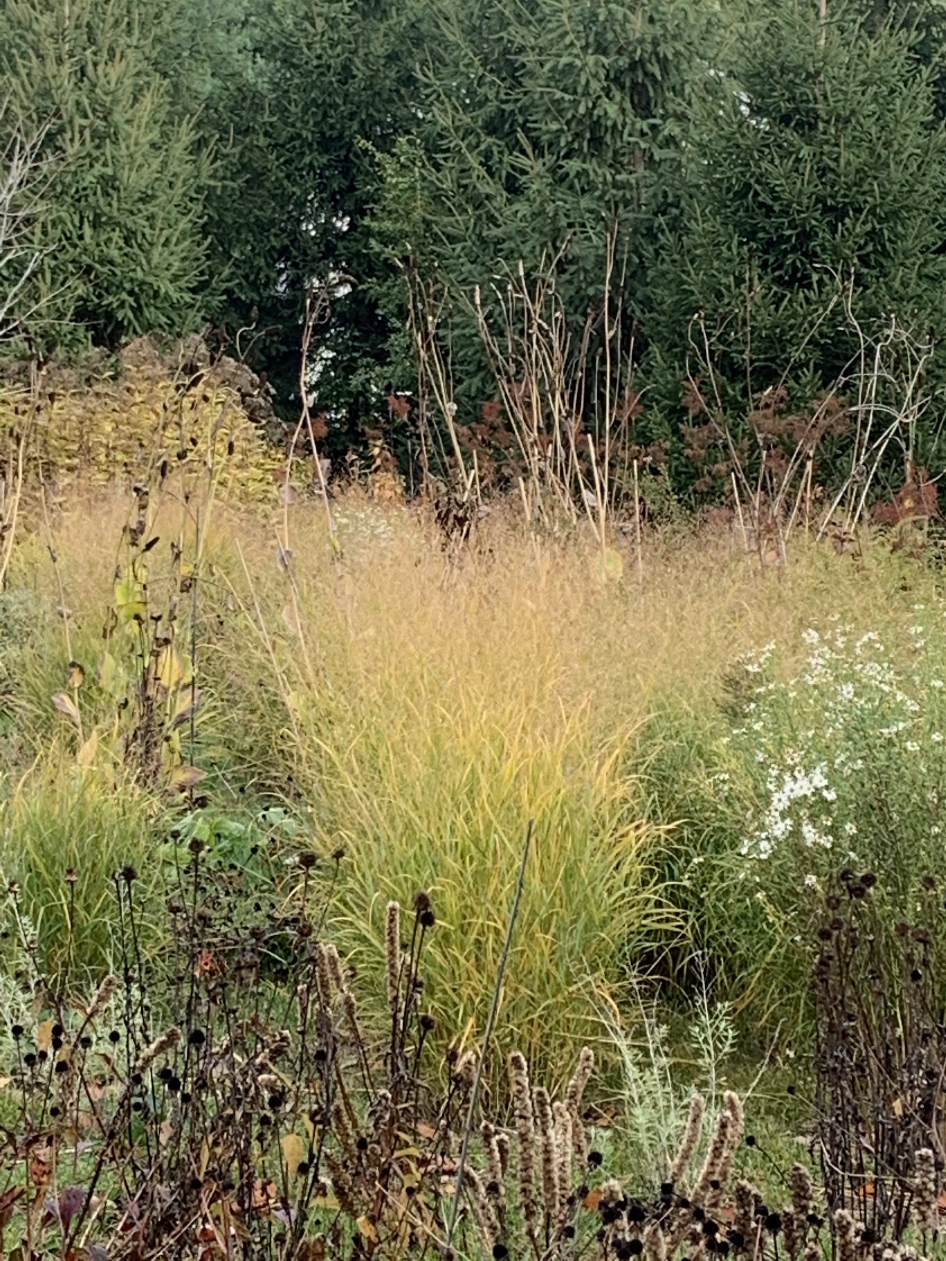 Late Fall Farm House Borders & Meadow - Maria von Brincken Landscape ...