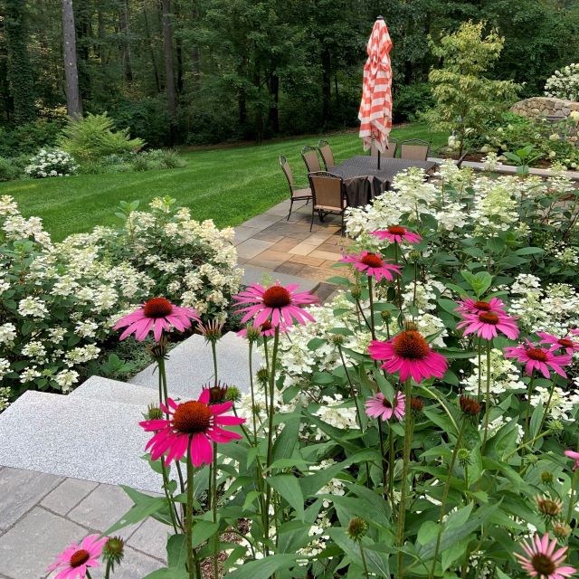 Back Gardens - Maria von Brincken Landscape Garden Design